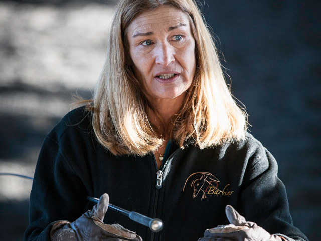 Barbier Farms | Enlightened Horsemanship from the French Classical ...