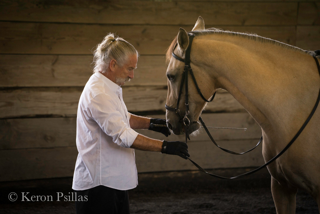 Barbier Farms | Enlightened Horsemanship from the French Classical ...